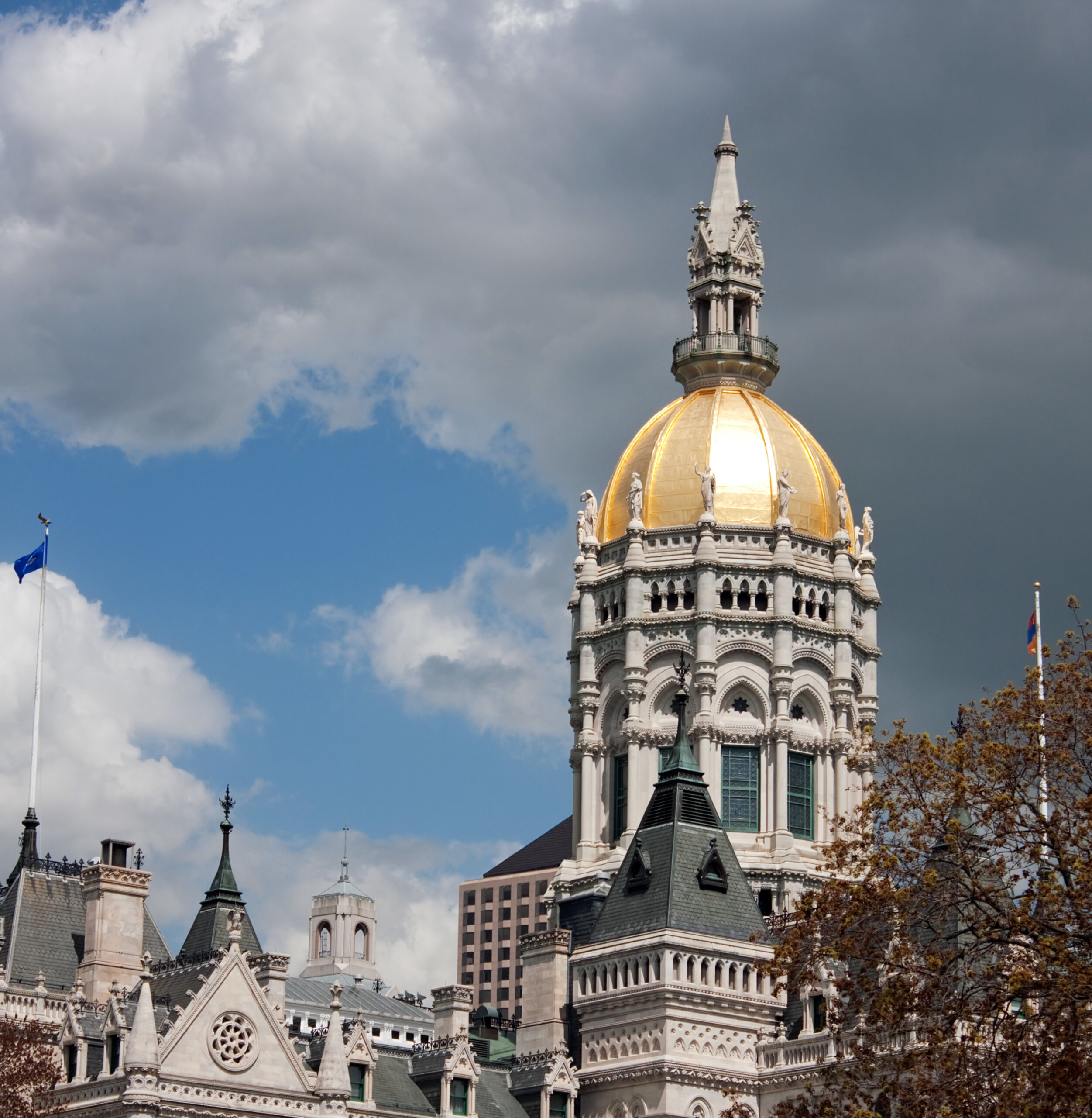 Connecticut Scope of Practice - Optometry Students